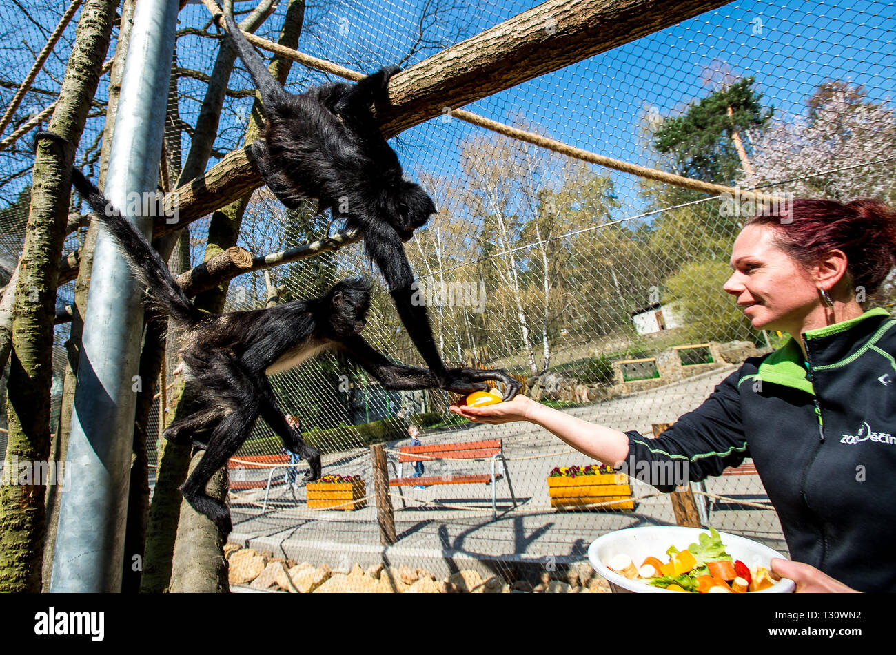 Zoo decin hi-res stock photography and images - Alamy