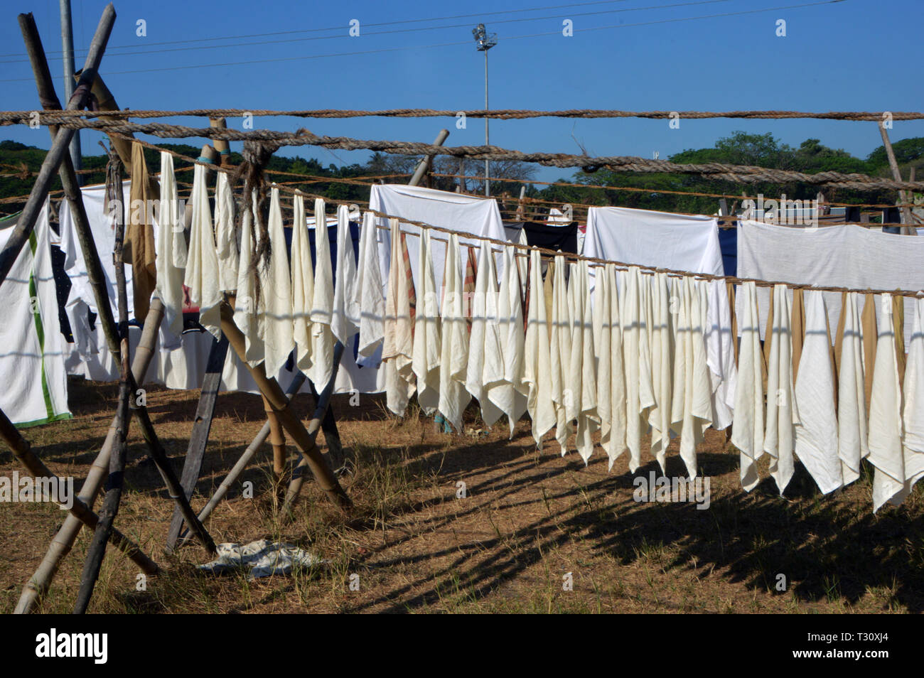 Traditional laundry in Kochi (Cochin) in the south of India - laundry ...