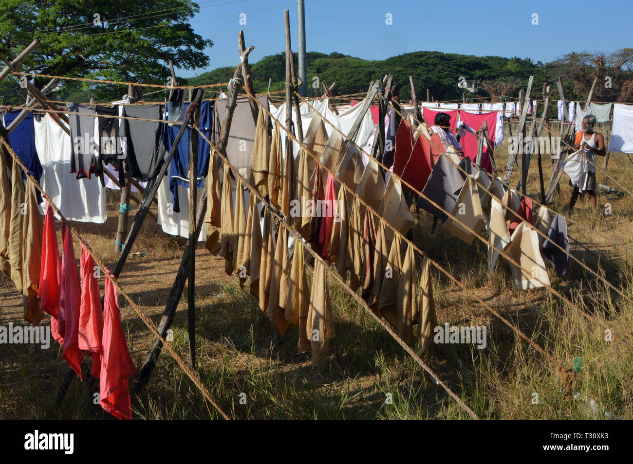 Traditional laundry in Kochi (Cochin) in the south of India - laundry ...