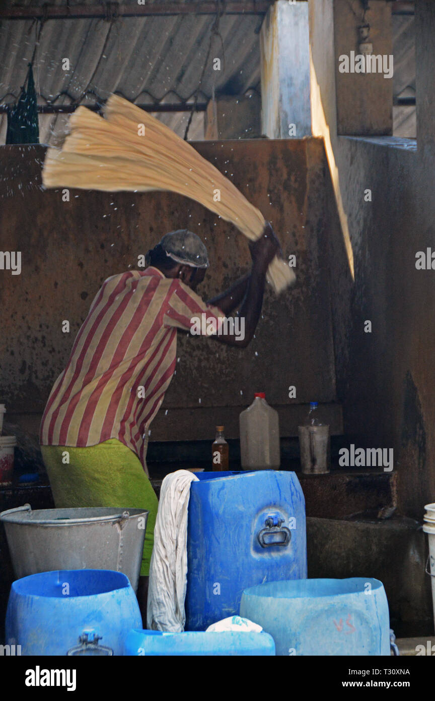Traditional laundry in Kochi (Cochin) in the south of India, recorded ...