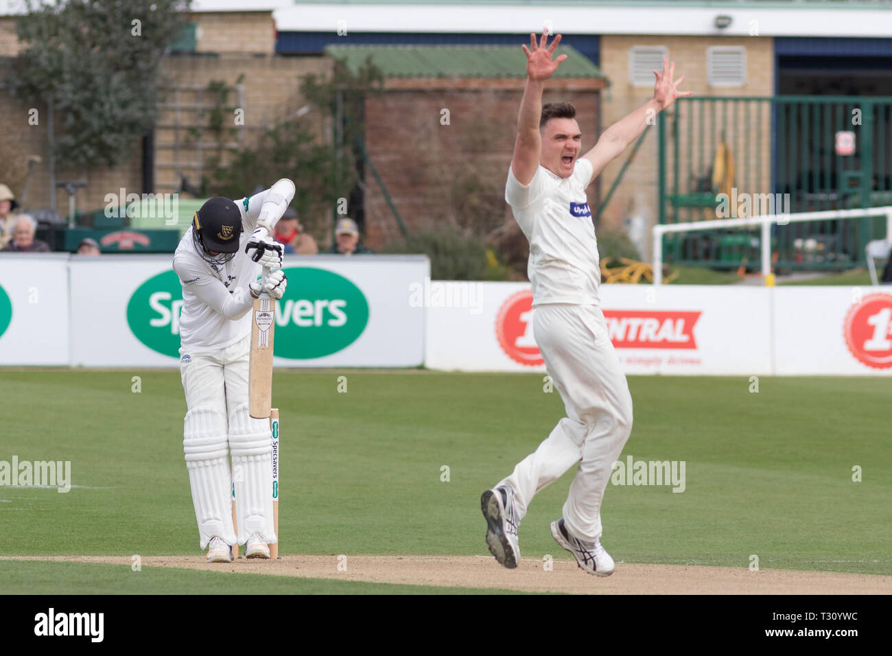 Gavin griffiths action hi-res stock photography and images - Alamy