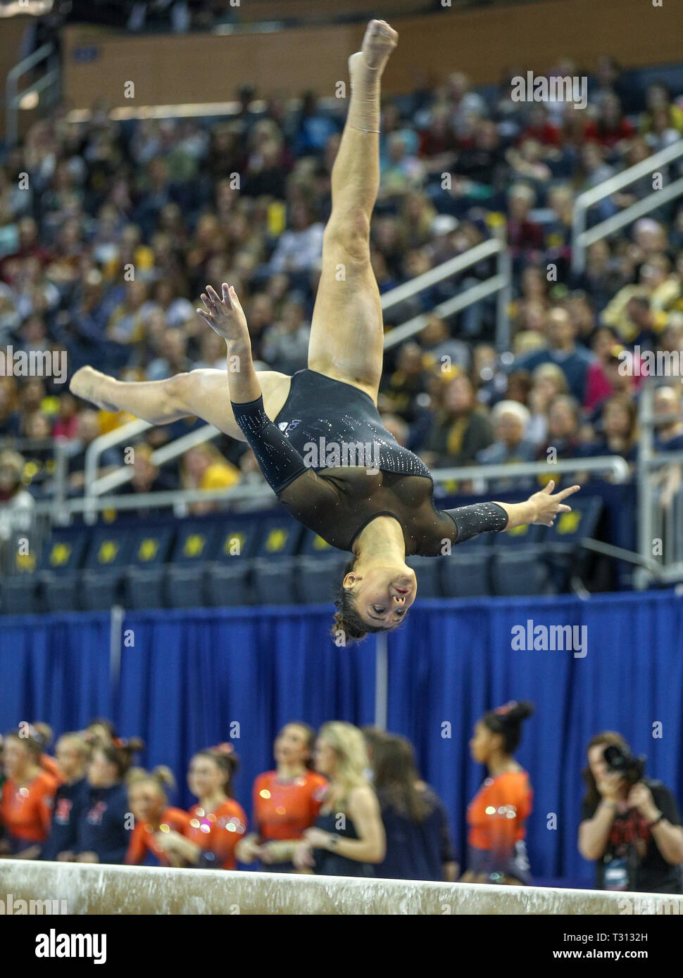 Kyla ross bruins hi-res stock photography and images - Alamy