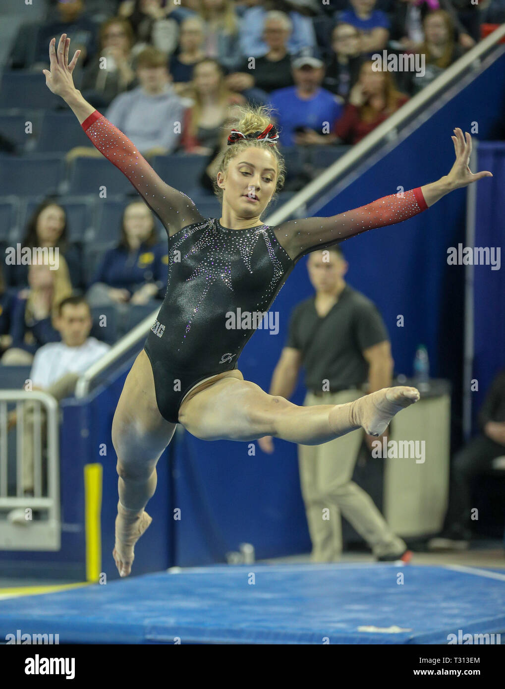 Taylor houcin hi-res stock photography and images - Alamy