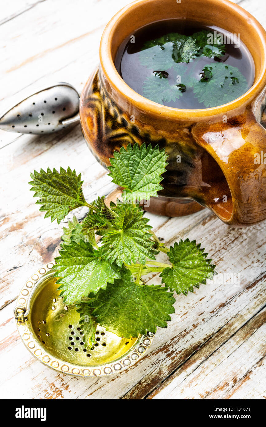 Cup of healthy herbal tea with nettle.Nettle tea Stock Photo - Alamy