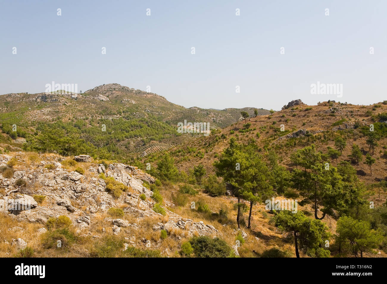 Mountain landscape of Turkey with agricultural landings. Plants Stock ...