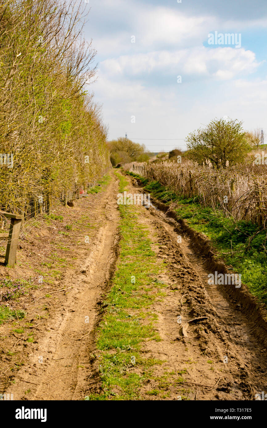 A muddy public footpath and right of way in the countryside Stock Photo ...