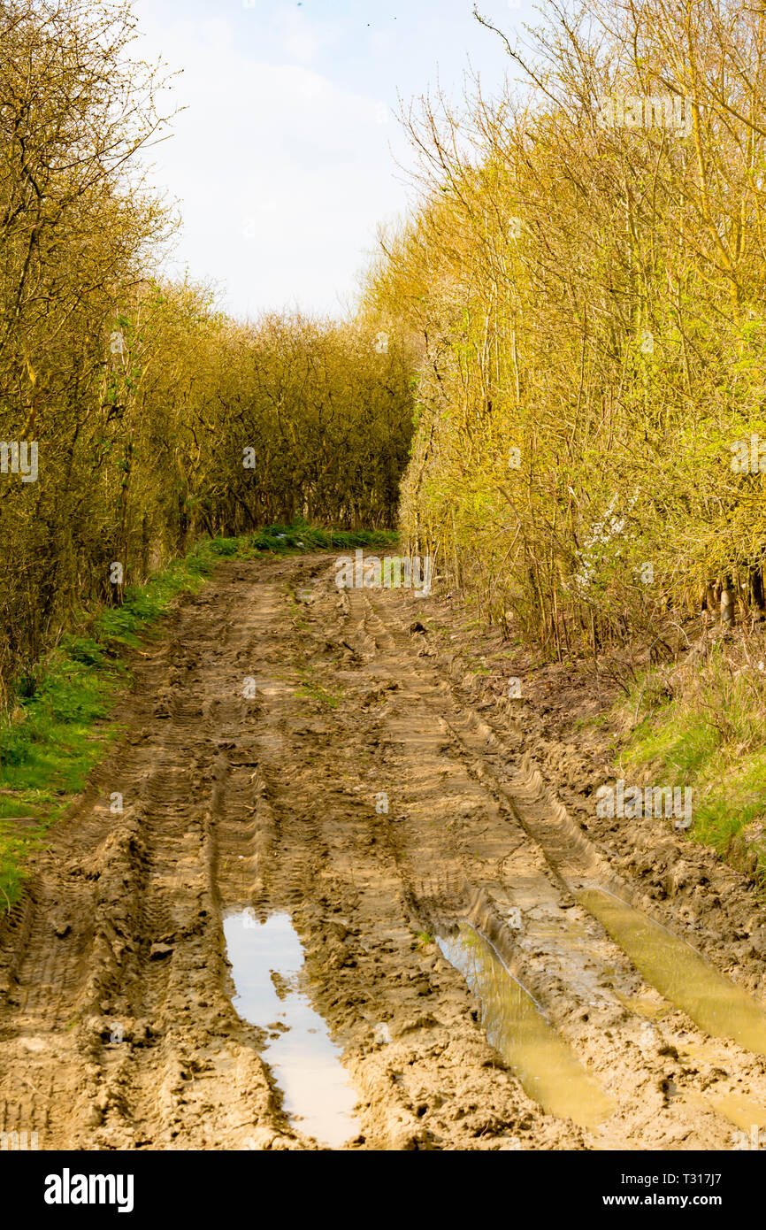 A muddy public footpath and right of way in the countryside Stock Photo ...