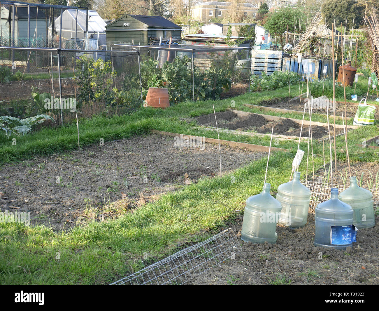 Allotment view hi-res stock photography and images - Alamy