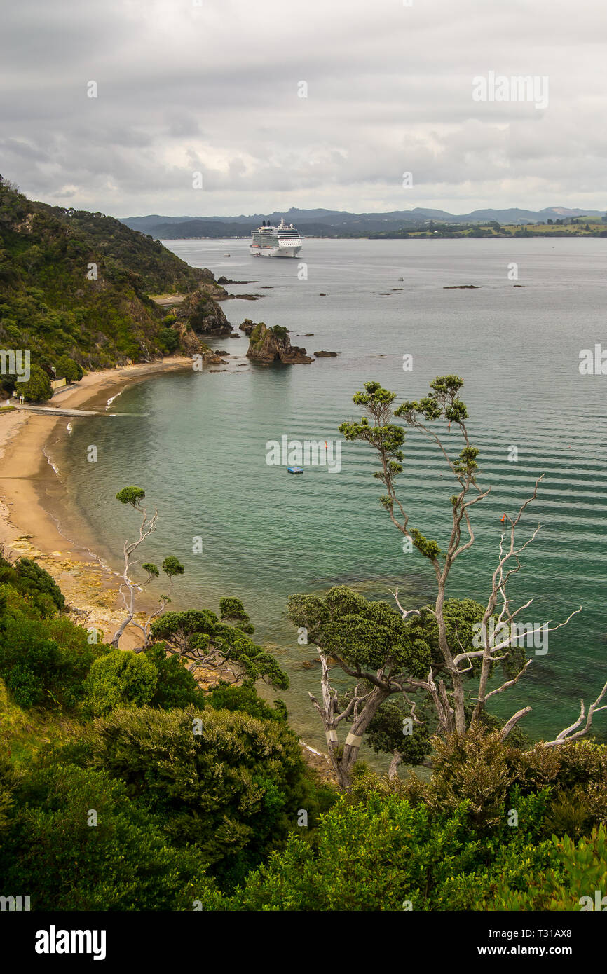 Coastline view from Tapeka Point Track with blue sky above in Russell ...