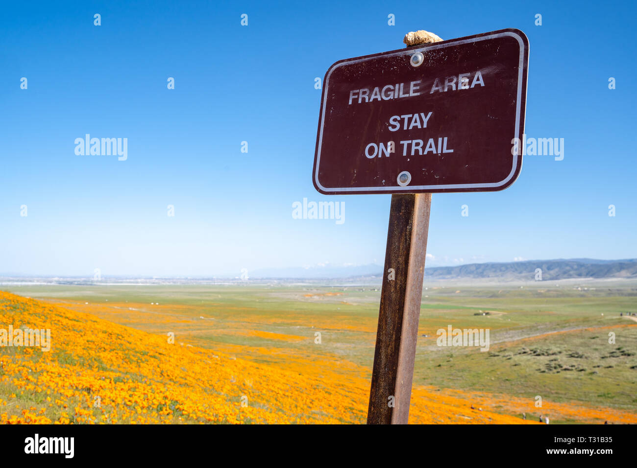 Sign reminds visitors to stay on the trail at the poppy reserve fields ...