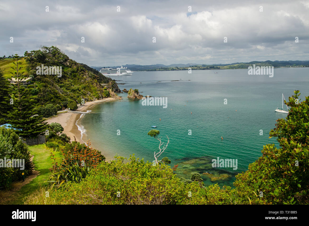 Coastline view from Tapeka Point Track with blue sky above in Russell ...
