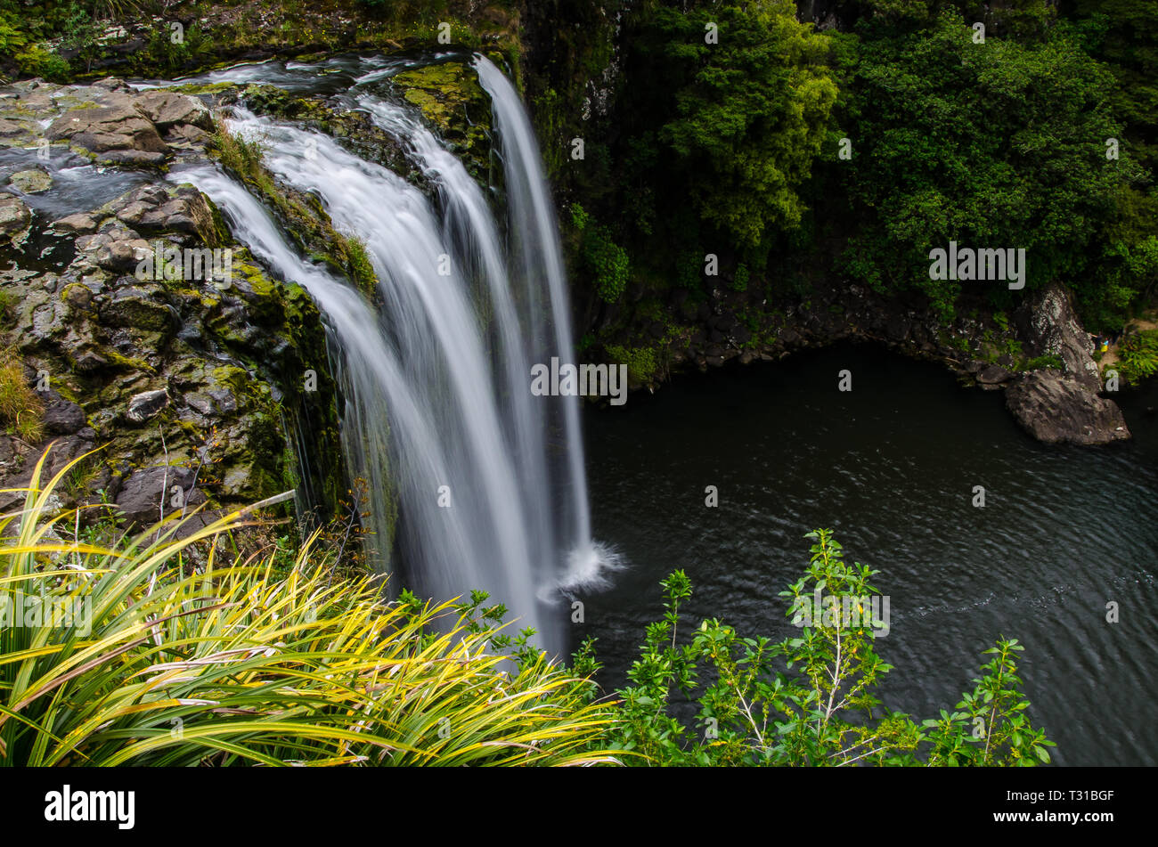 Whangarei falls hi-res stock photography and images - Alamy