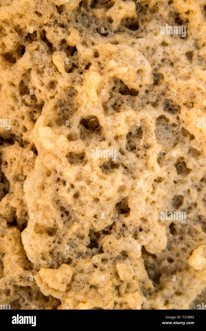 Foam bubbles of the surf Stock Photo - Alamy