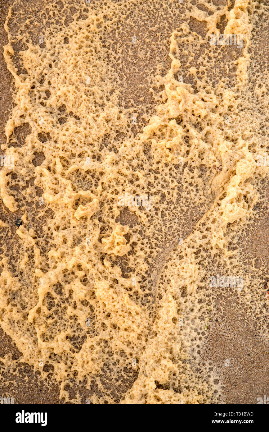 Foam bubbles of the surf Stock Photo - Alamy