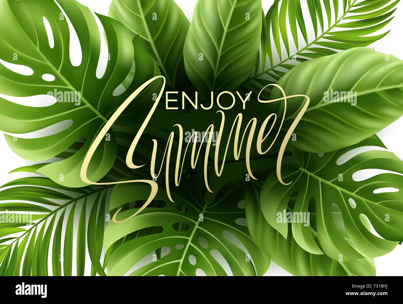 Summer poster with tropical palm leaf and handwriting lettering. Vector ...