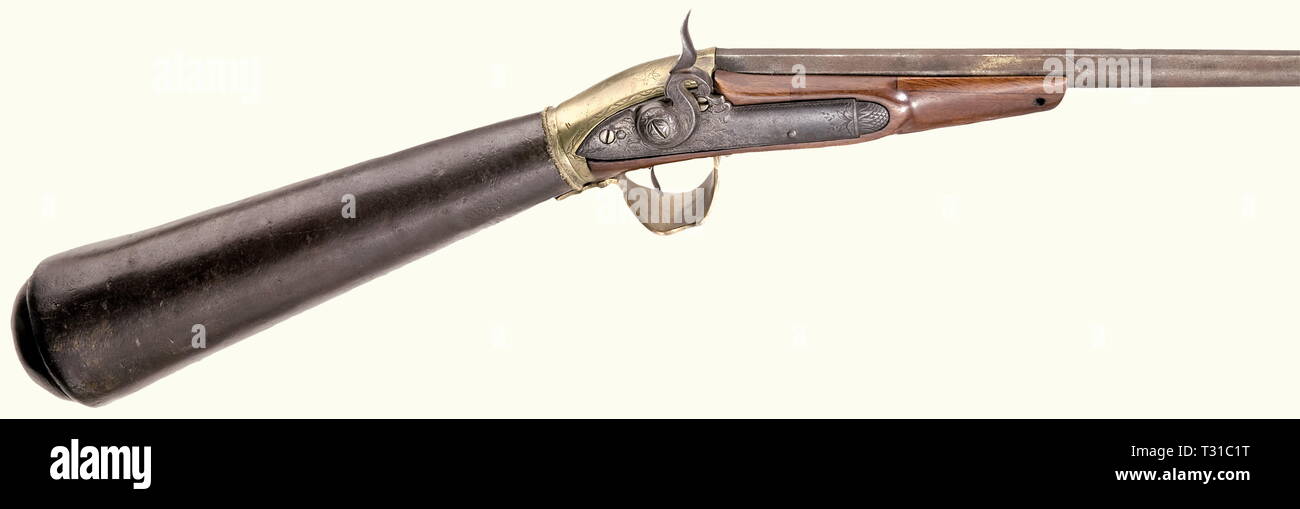 Civil long arms, flintlock and caplock, air gun, German, circa 1820 ...