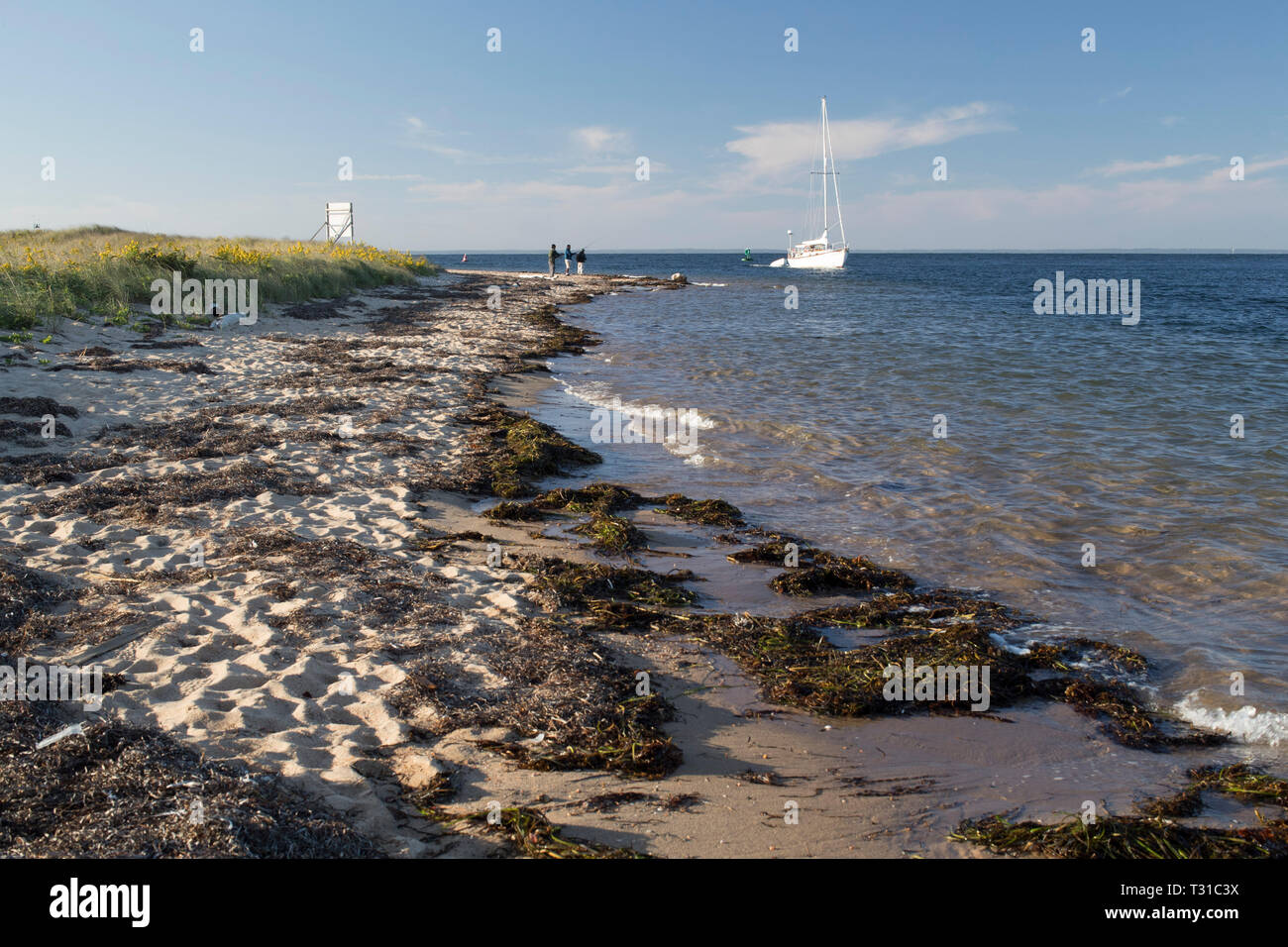 Beaches block island hi-res stock photography and images - Alamy