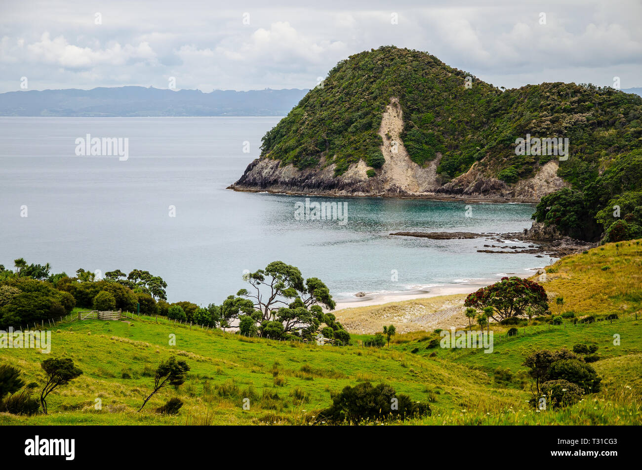 Te whara hi-res stock photography and images - Alamy