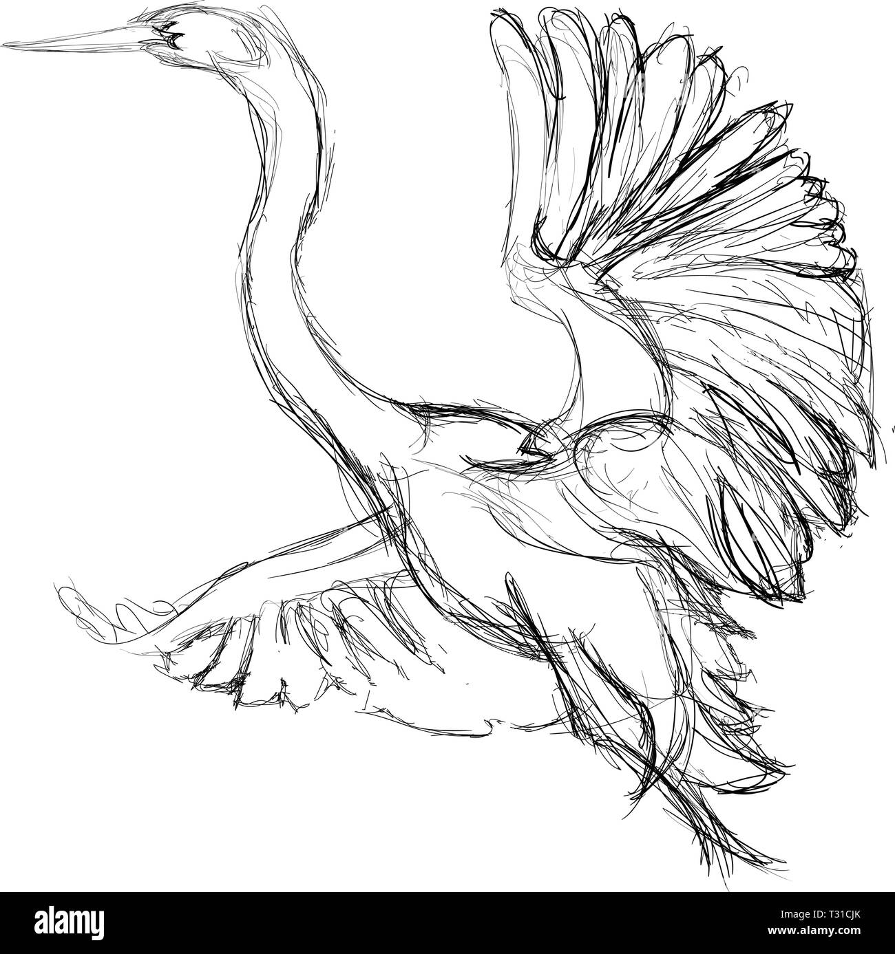 Heron field Stock Vector Images - Alamy