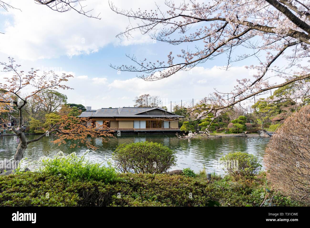 Gyosen Park Heisei Garden Genshin-an, Edogawa-Ku, Tokyo, Japan Stock ...