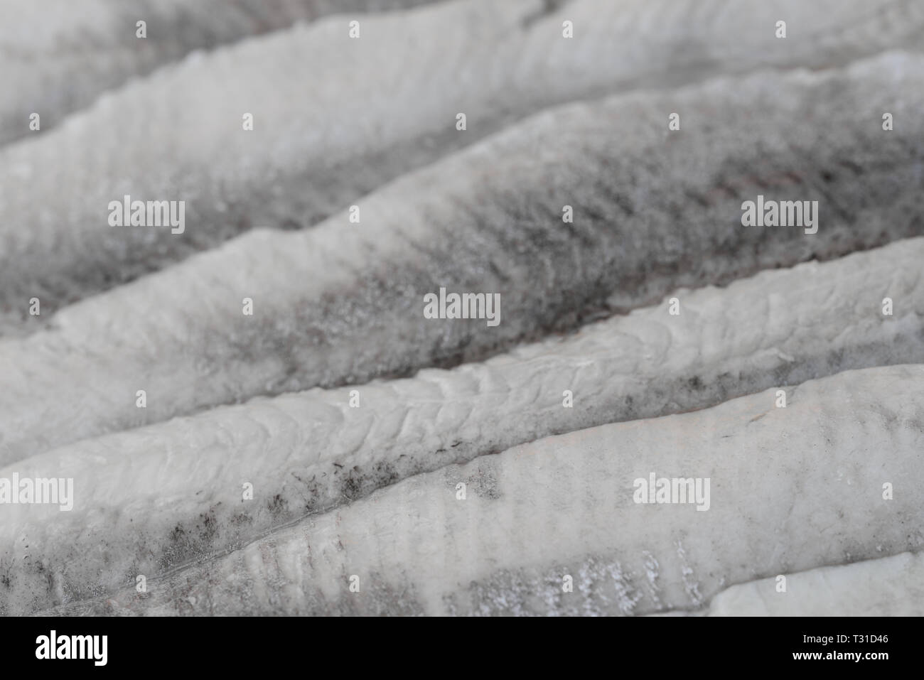 Soused Herrings High Resolution Stock Photography and Images - Alamy