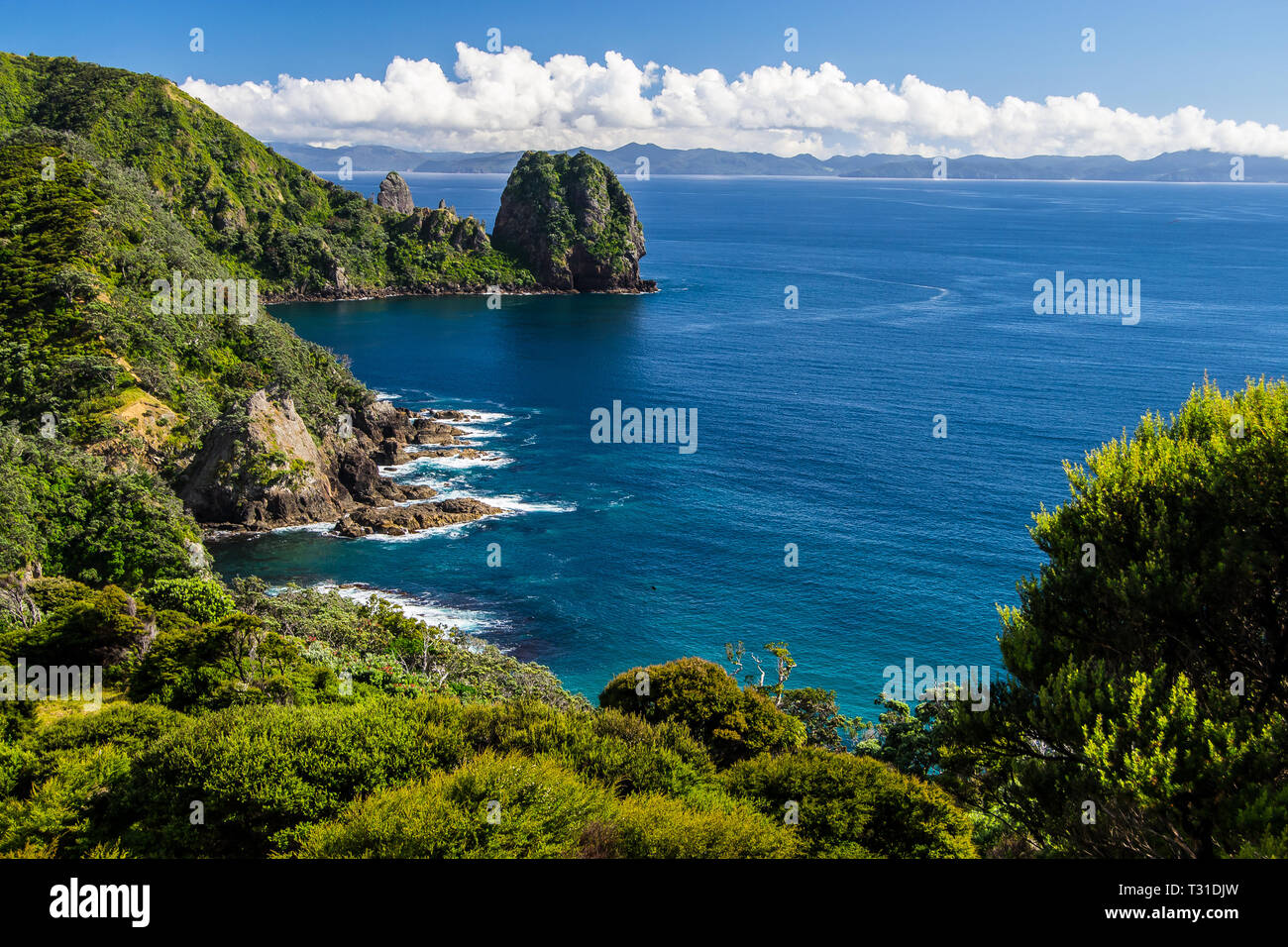 Coromandel coastal walkway hi-res stock photography and images - Alamy