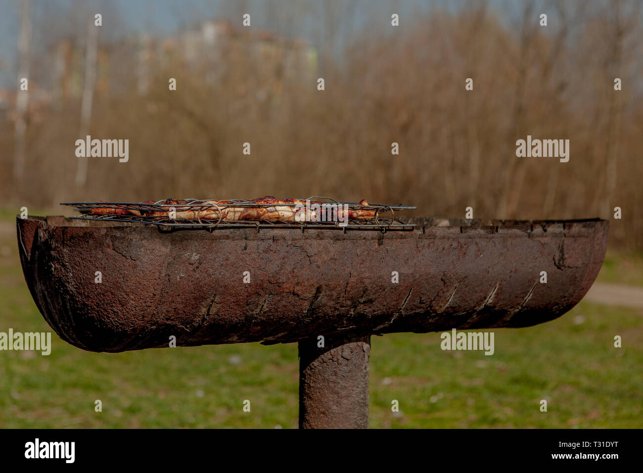 Meat grilled on the barbecue grill. Dinner picnic party concept ...