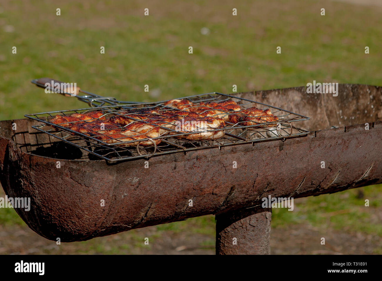 Meat grilled on the barbecue grill. Dinner picnic party concept ...