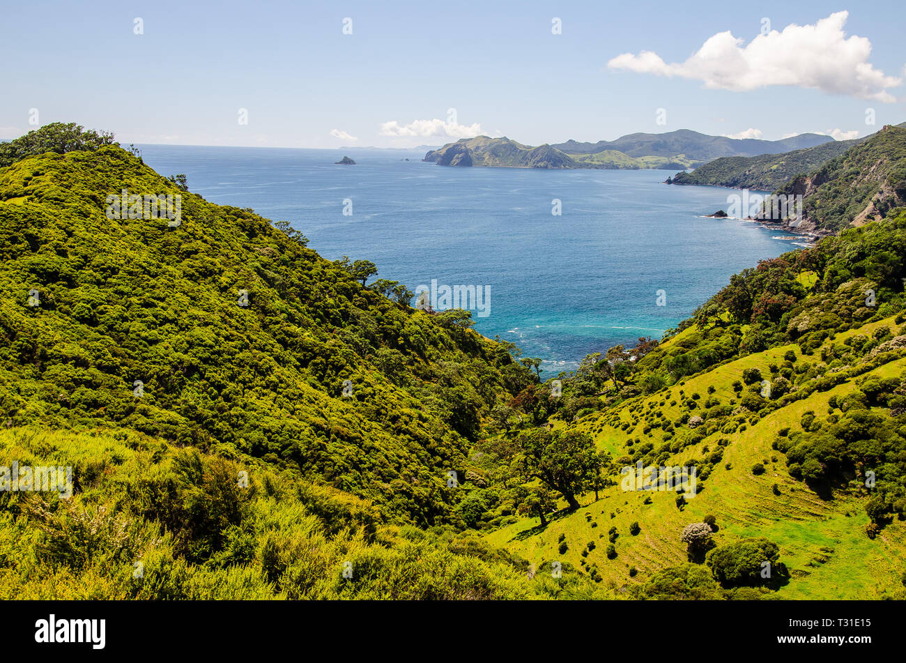 Coastline view from Coromandel Coastal Walkway with blue sky above at ...
