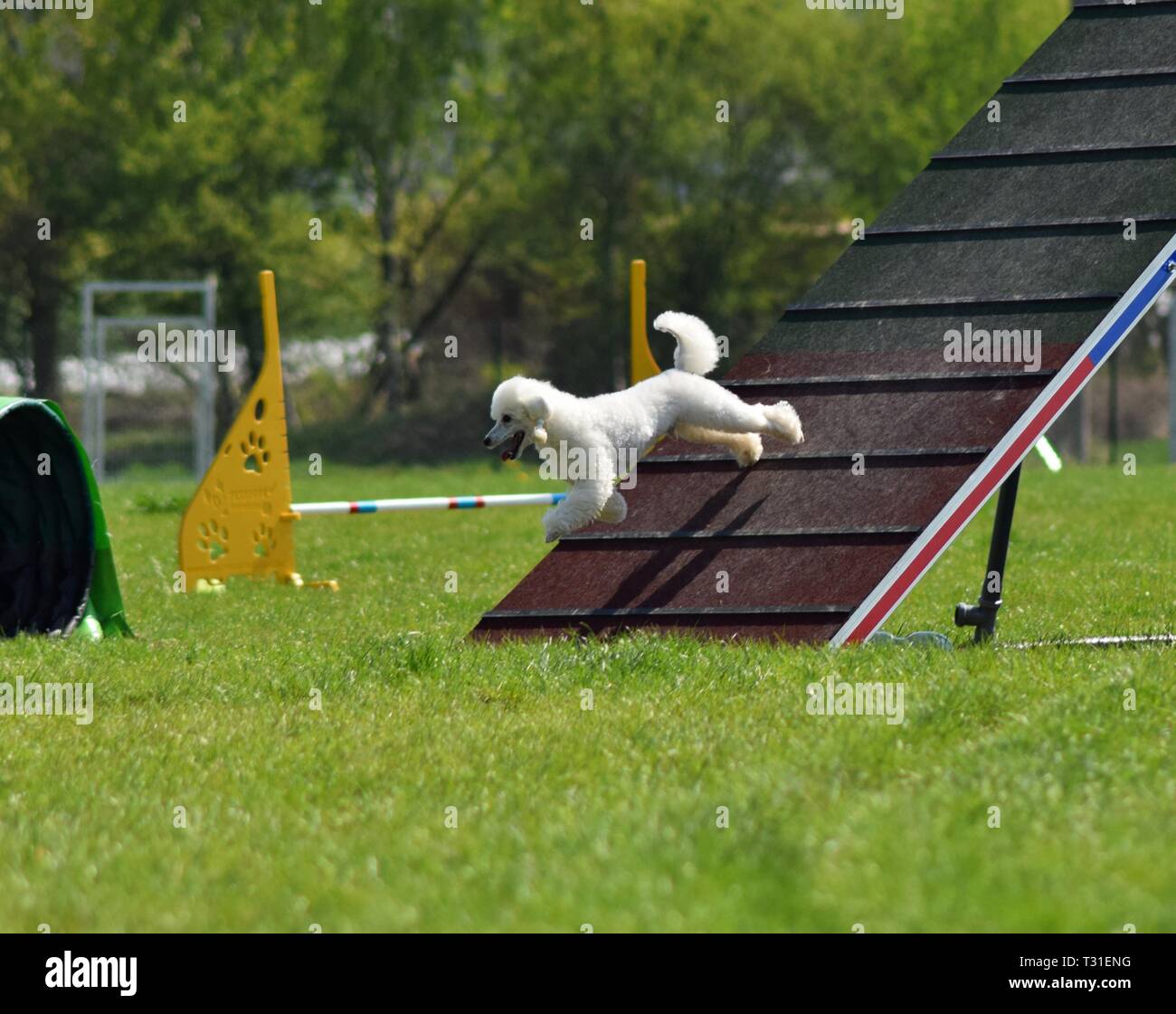 Private competition hi-res stock photography and images - Alamy