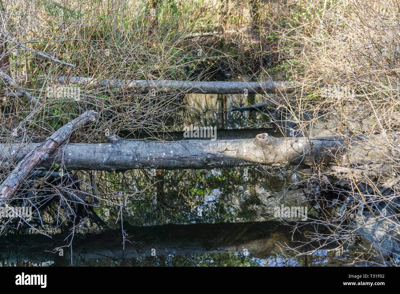 Logs stream hi-res stock photography and images - Alamy
