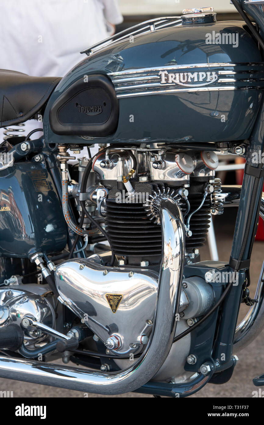 1949 Triumph 6T Thunderbird motorcycle. Classic british motorcycle ...