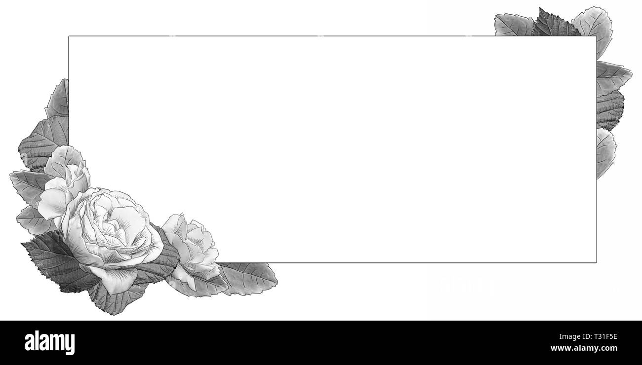 Rectangular floral frame illustration hi-res stock photography and ...
