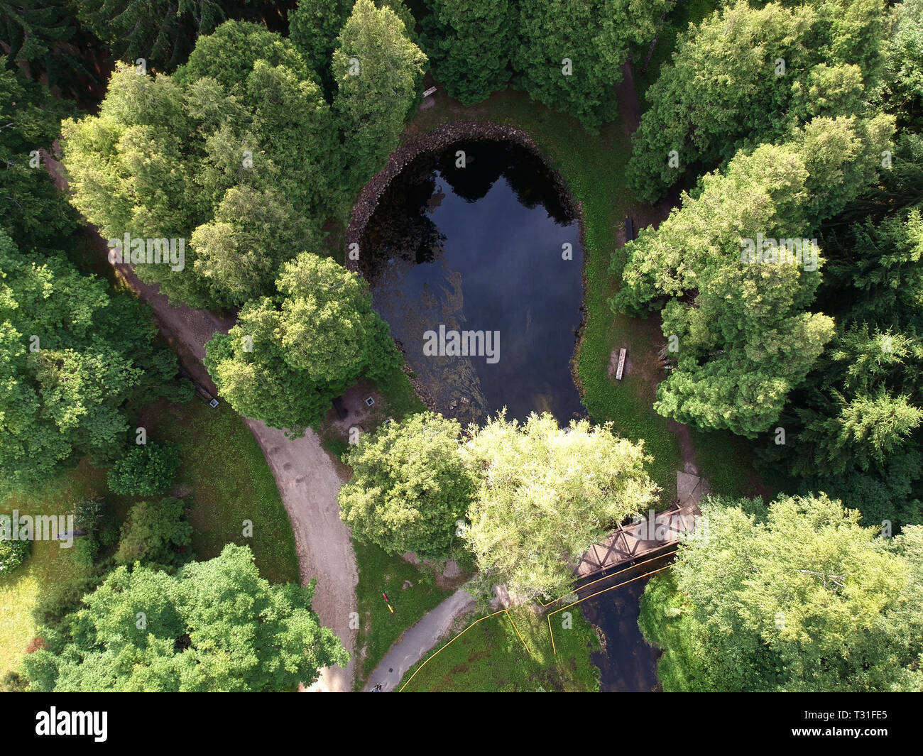 Beautiful nature park landscape with pond, trees and paths, aerial view ...