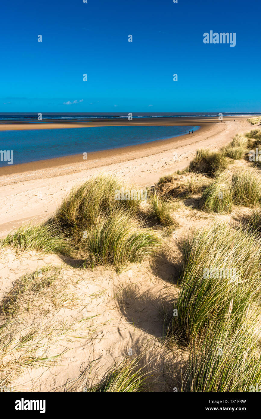 Sand dunes where Norfolk Coast path National Trail from Burnham Overy ...