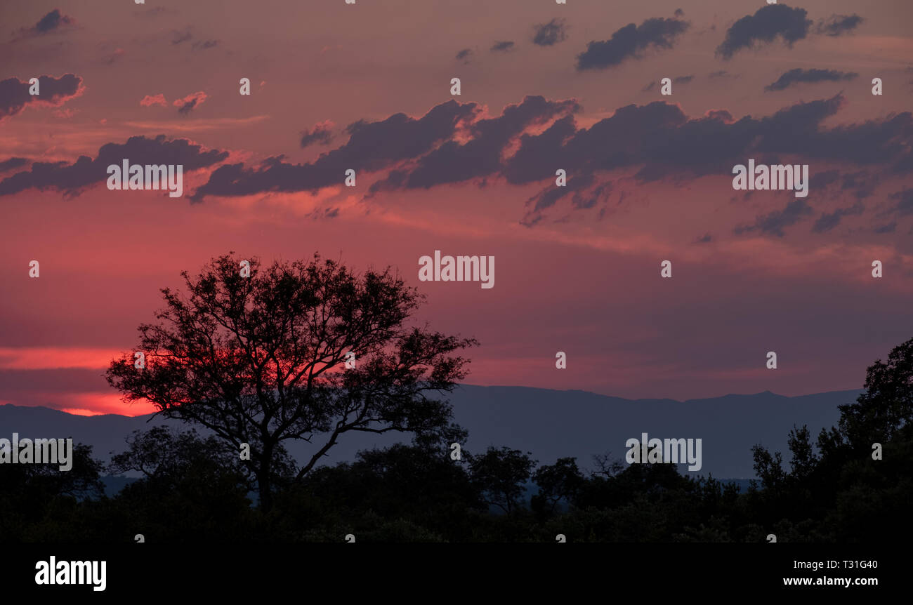 Africa Pink Sunset High Resolution Stock Photography and Images - Alamy