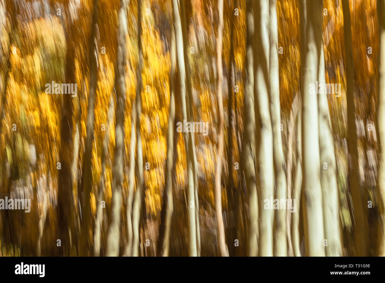 Camera movement panning hi-res stock photography and images - Alamy