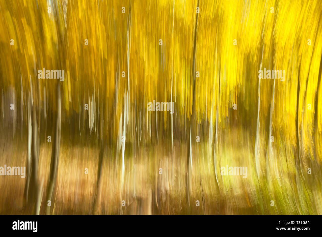 Panning camera hi-res stock photography and images - Alamy