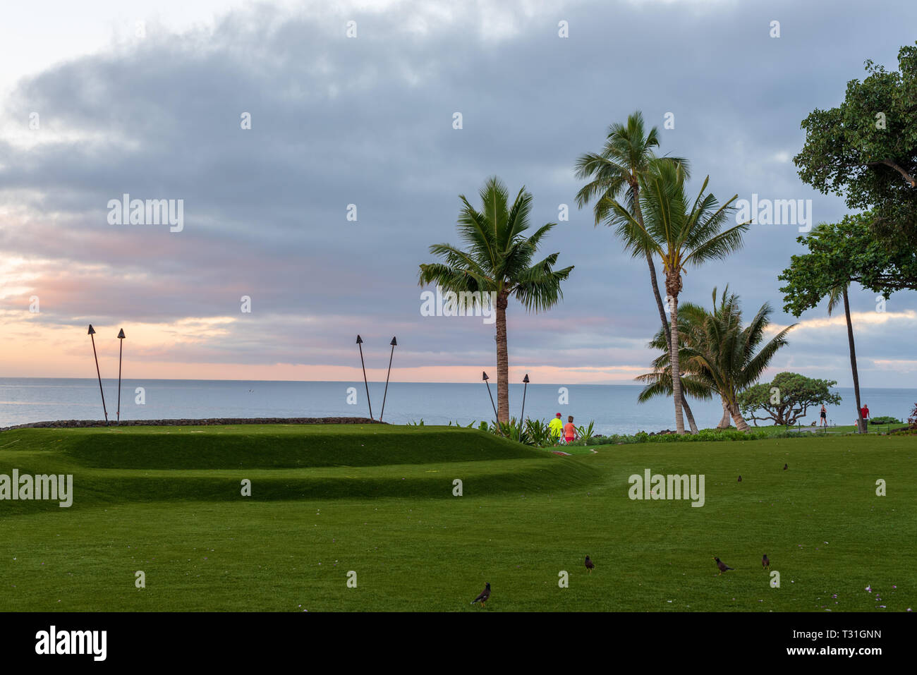 Photo looking out over a dark green lawn to the Pacific Ocean in late ...