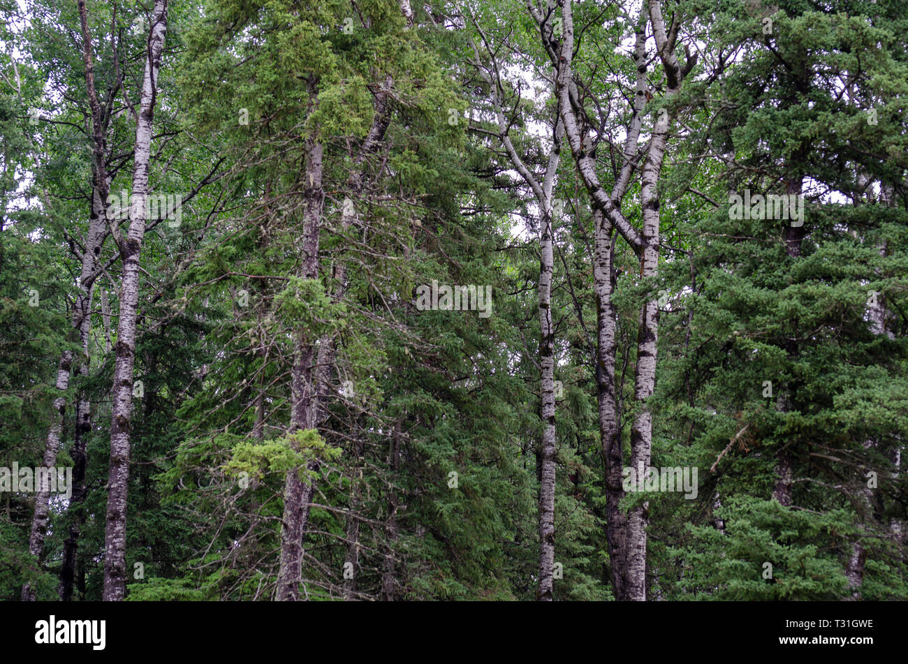 Provincial landscapes hi-res stock photography and images - Alamy