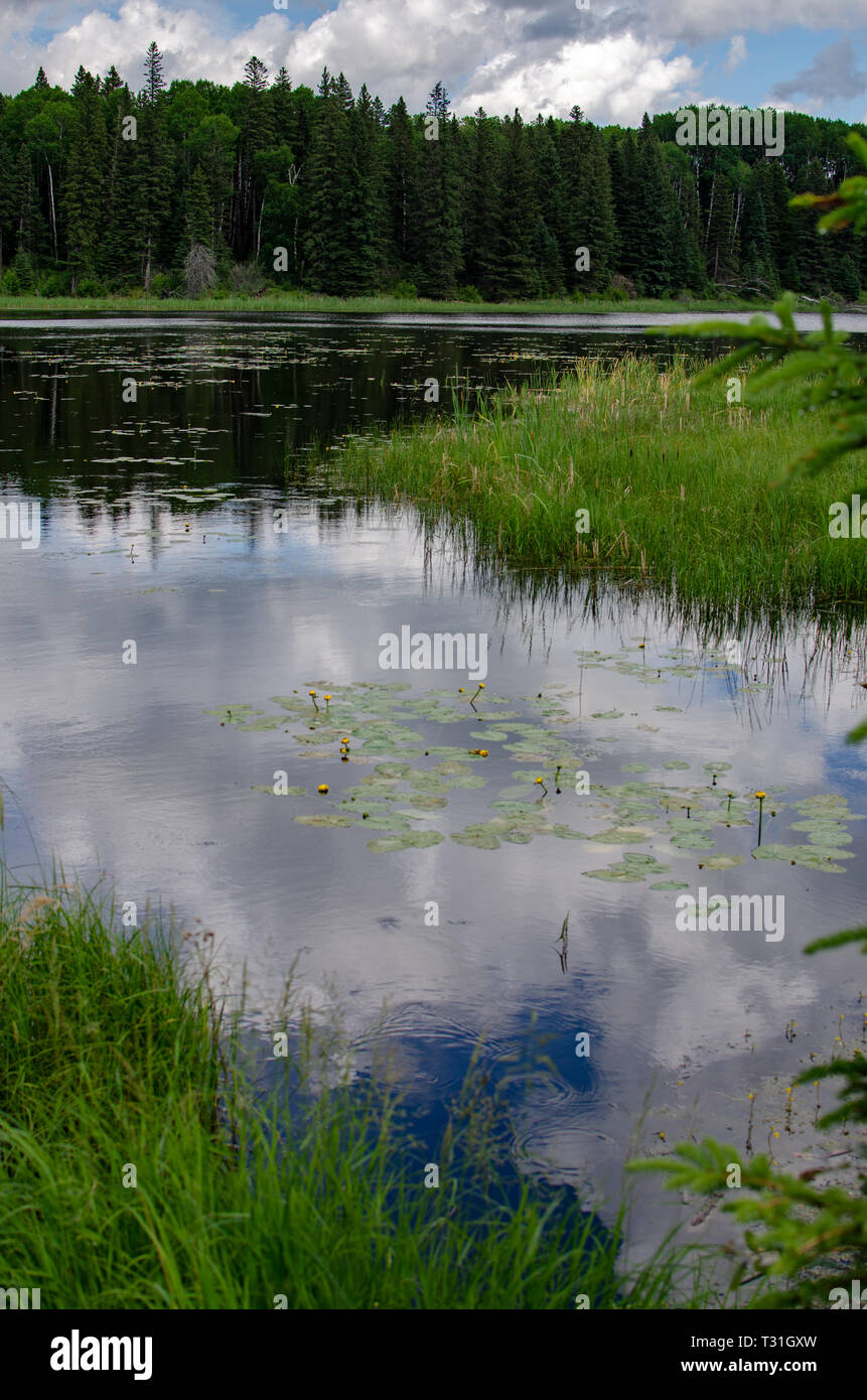 Tranquil lake scene at Hickey Lake, Duck Mountain Provincial Park ...