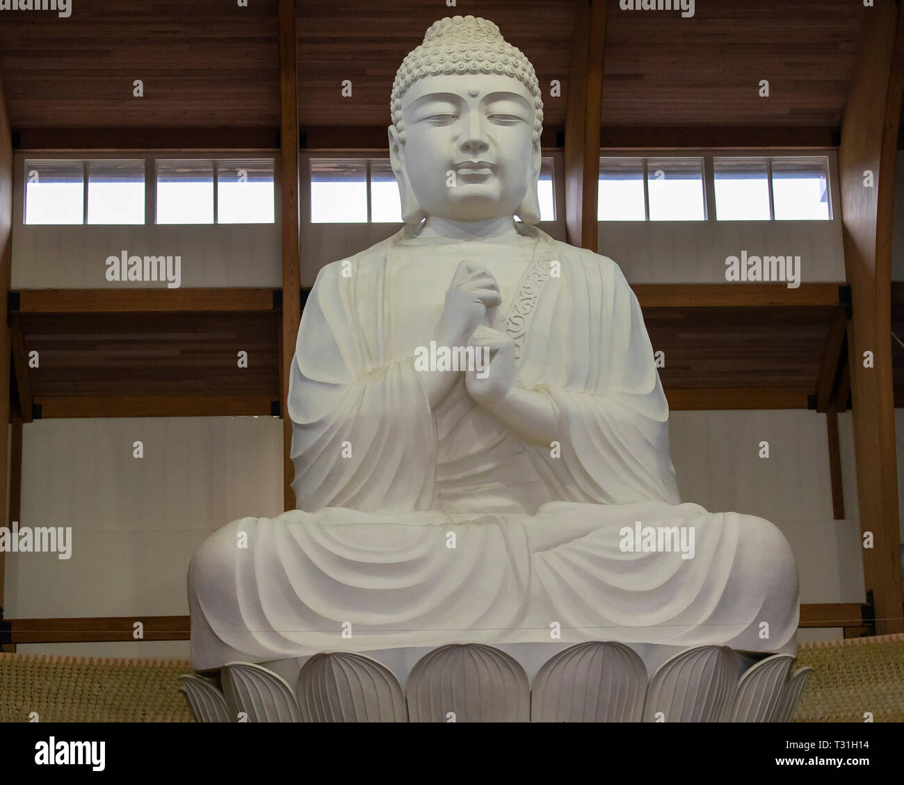 Jolly buddha hi-res stock photography and images - Alamy