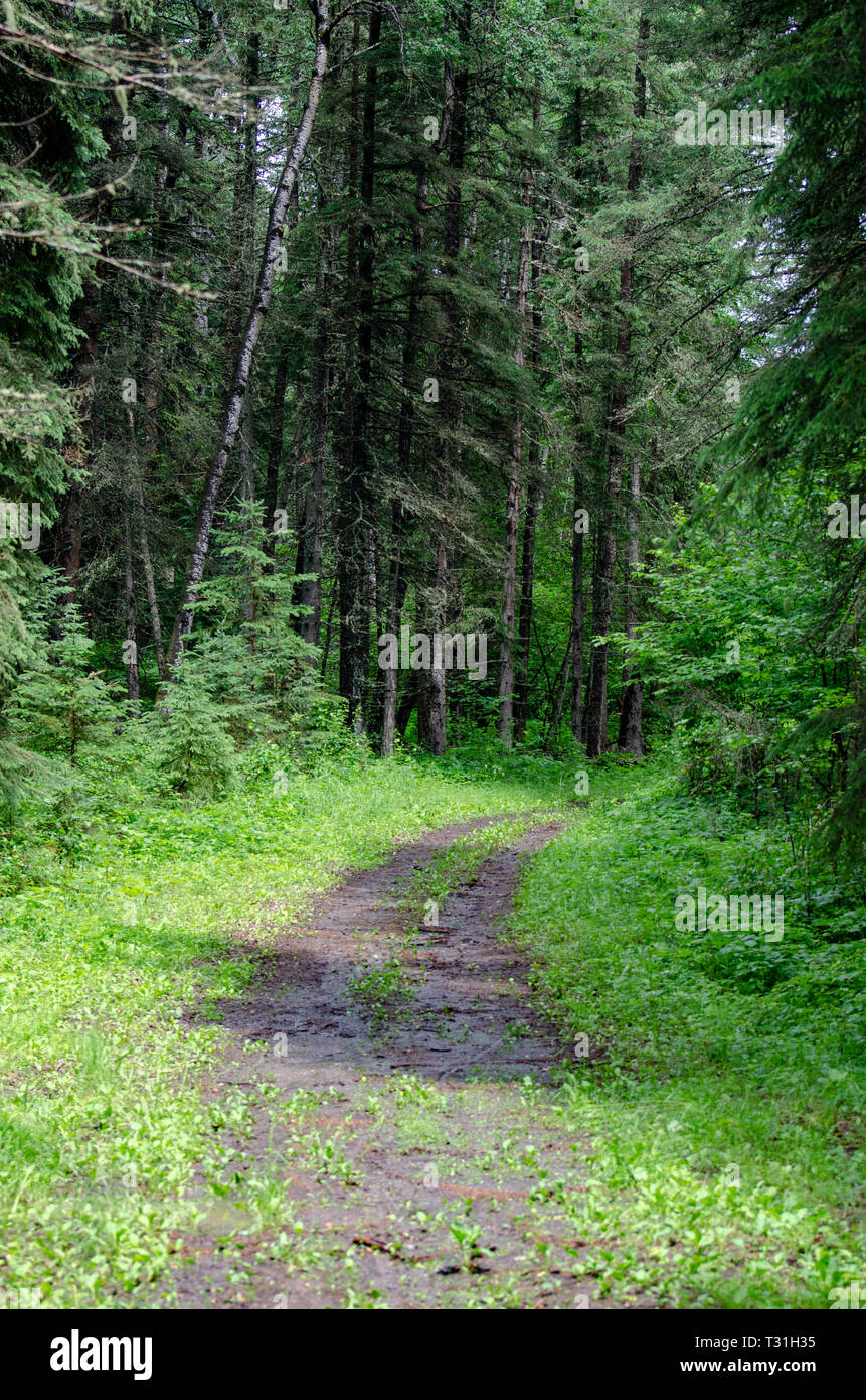 Hiking trail pathway hi-res stock photography and images - Alamy
