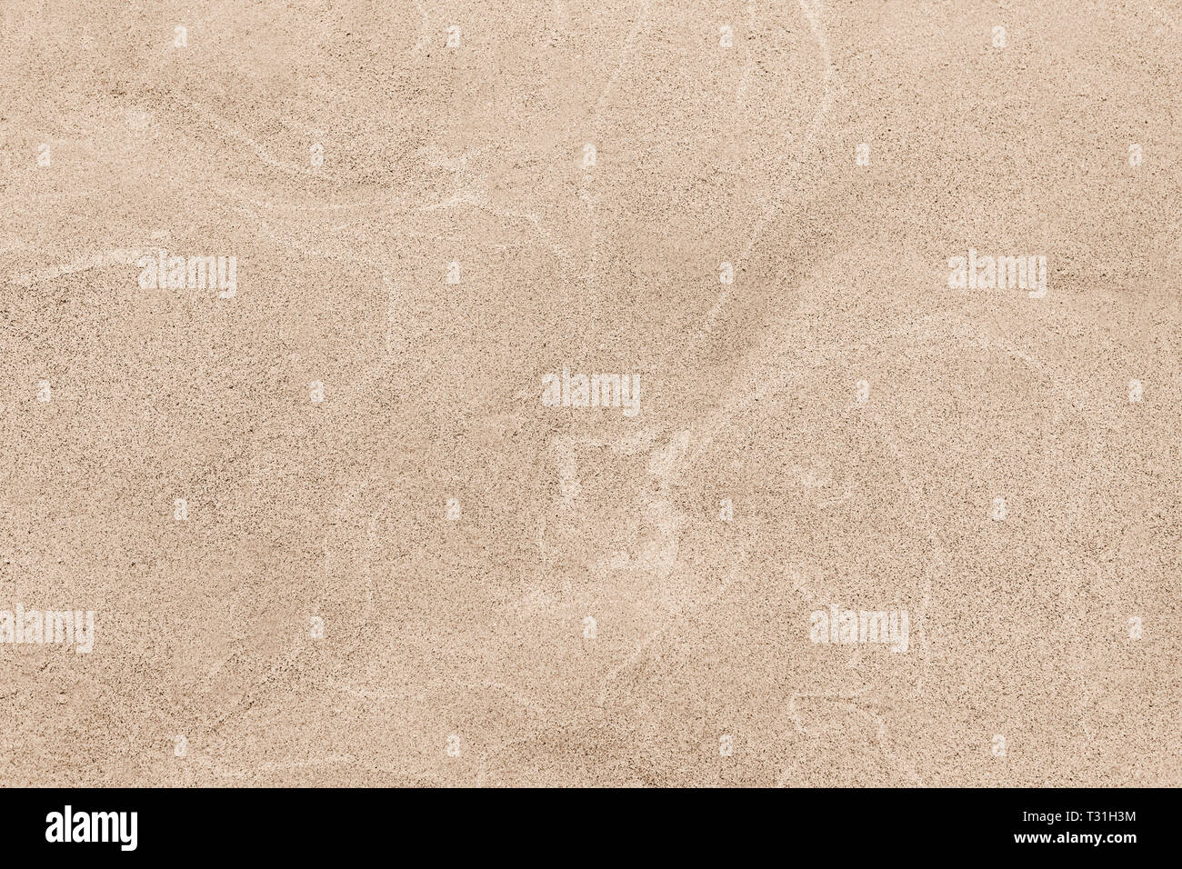 A top down shot of a dry river beige sand bottom full of texture and ...