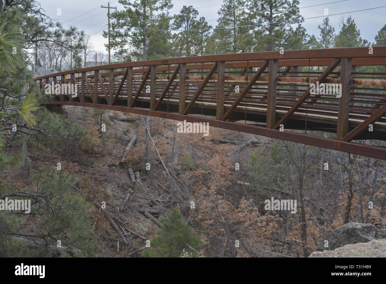 Metal and Wood Bridge Over Canyon in a Park in New Mexico Stock Photo ...