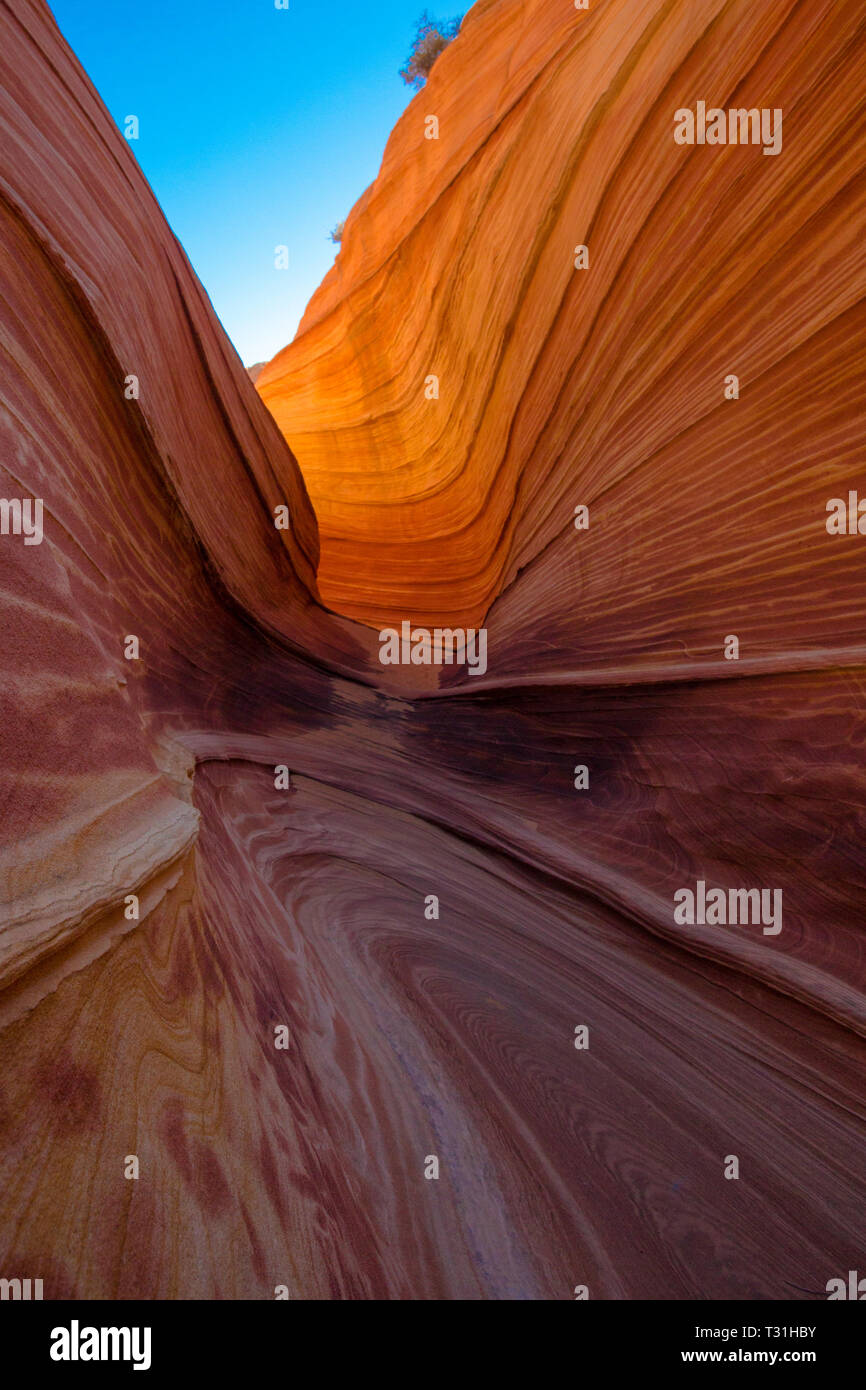 Wave arizona hi-res stock photography and images - Alamy