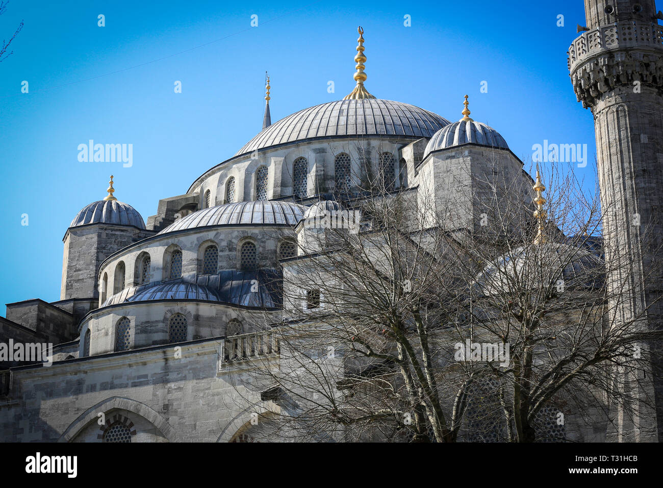 The Blue Mosque Stock Photo - Alamy
