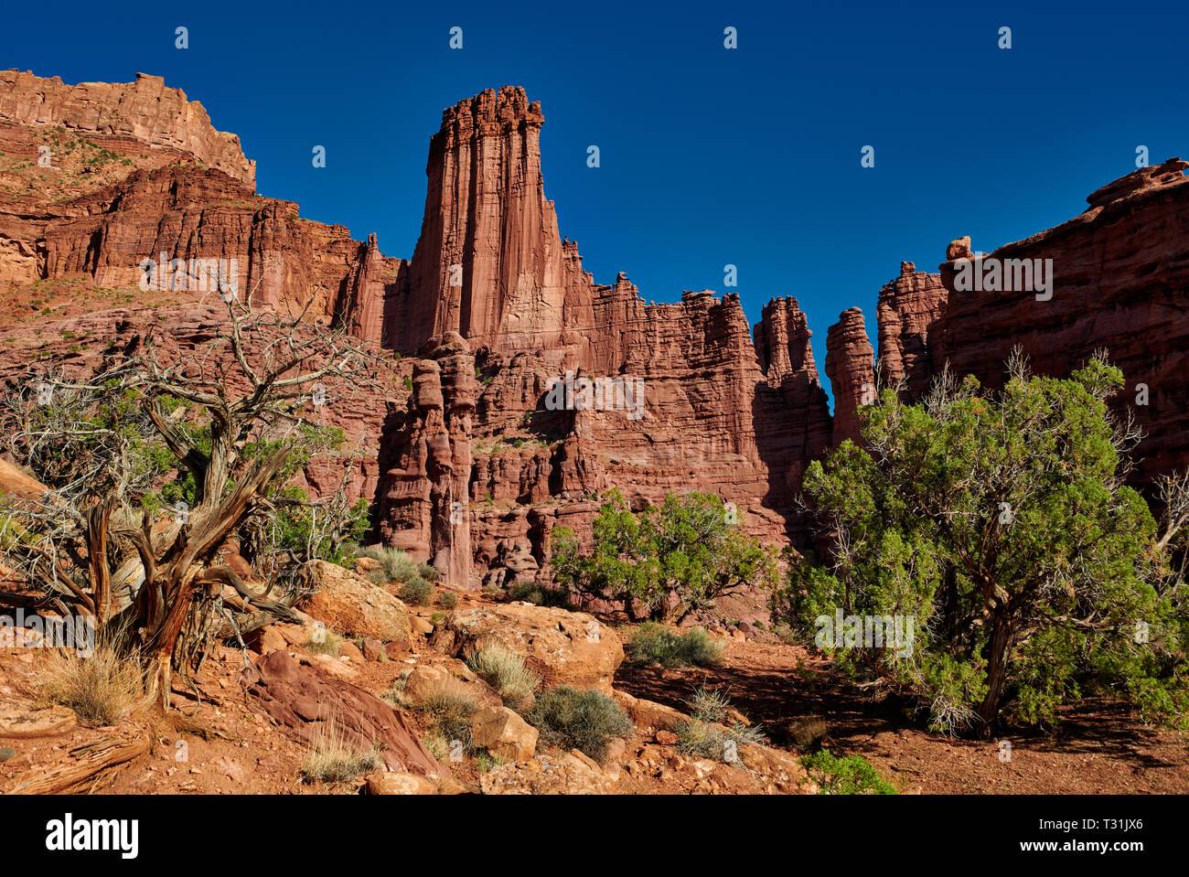 Fisher Towers, Moab, Utah, USA, North America Stock Photo - Alamy