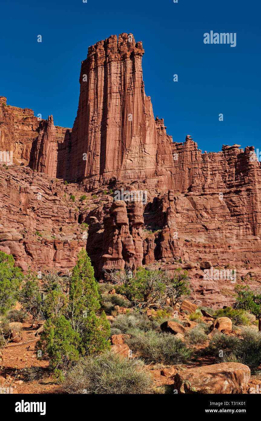 Fisher Towers, Moab, Utah, USA, North America Stock Photo - Alamy