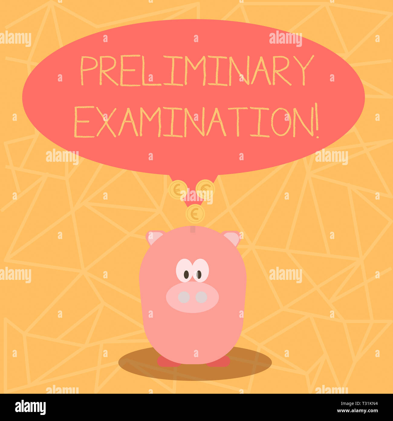 Conceptual hand writing showing Preliminary Examination. Concept ...